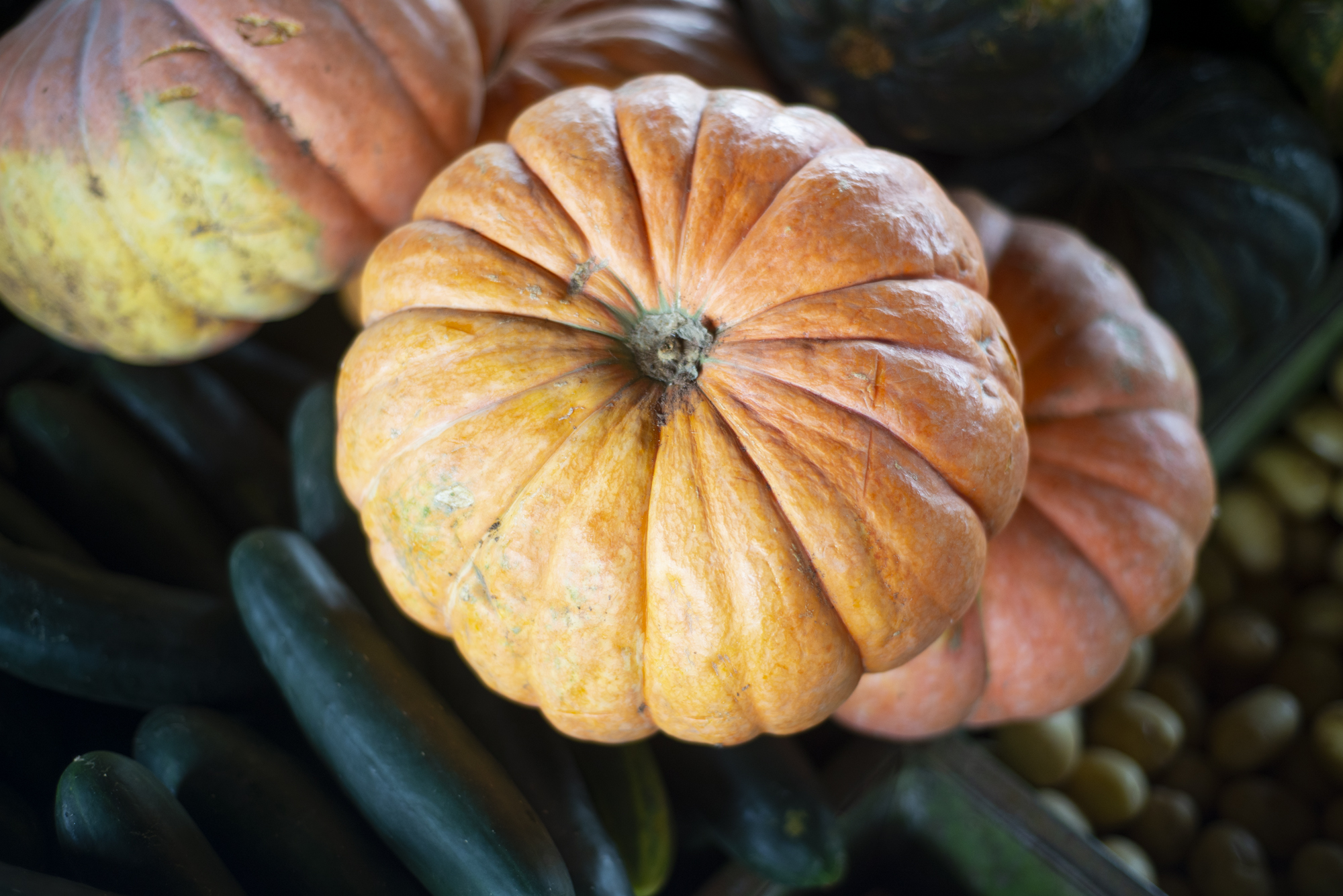 A abóbora e seus benefícios para a saúde - Centrais de Abastecimento do ...